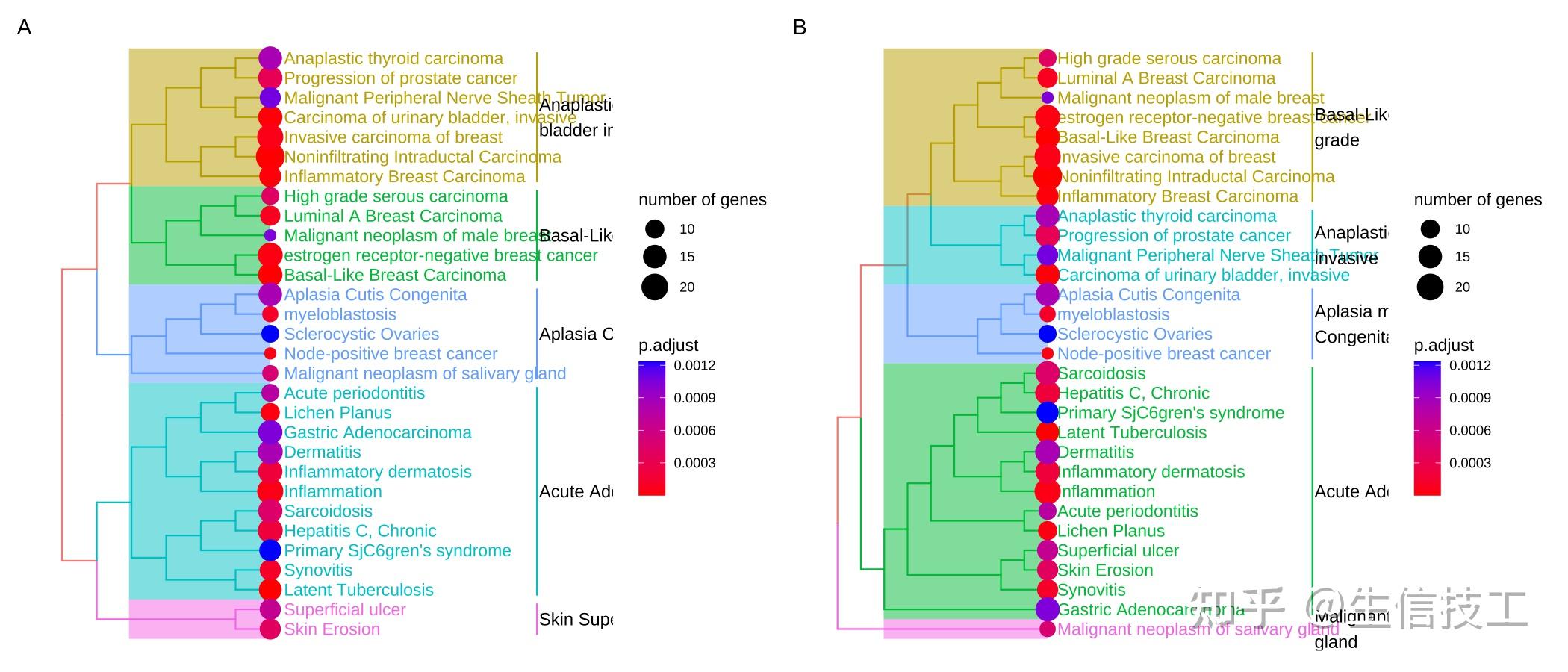 RNA-seq结果GO富集分析？ - 知乎