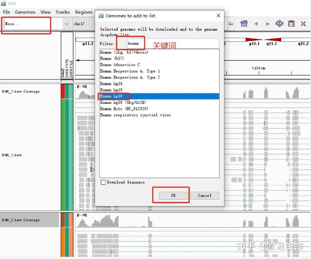 欧易生物生物信息分析——IGV快速上手教程 - 知乎