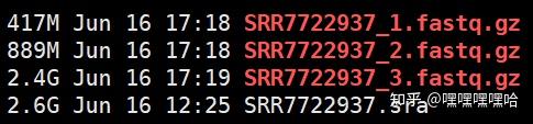 fastq-dump、fasterq-dump和parallel-fastq-dump处理SRA文件的速度比较 - 知乎