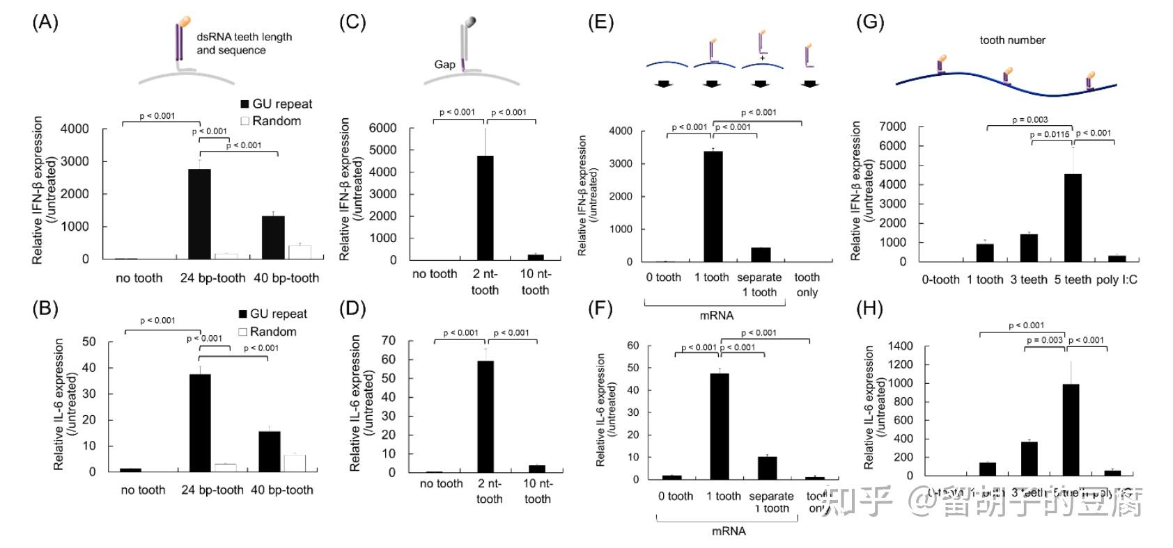 mRNA疫苗抗原序列嵌合dsRNA佐剂，增强癌症治疗过程中的细胞免疫。 - 知乎