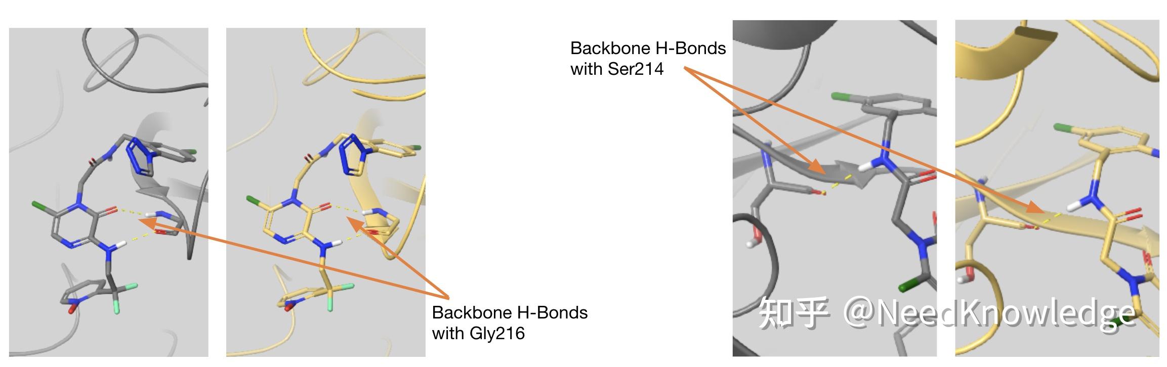 Schrödinger教程 | Cross-docking with IFD-MD - 知乎