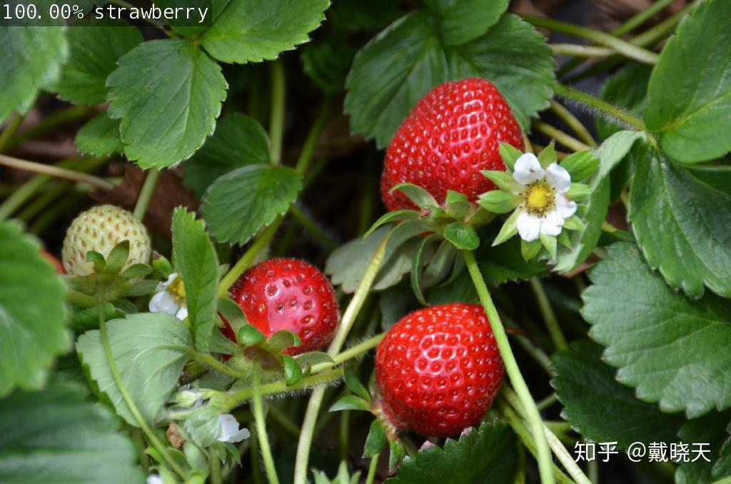 Nvidia Jetson Nano介绍与使用指南 - 知乎