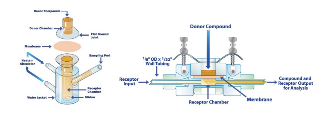 体外透皮试验（IVPT）在皮肤外用制剂开发中的应用 - 知乎