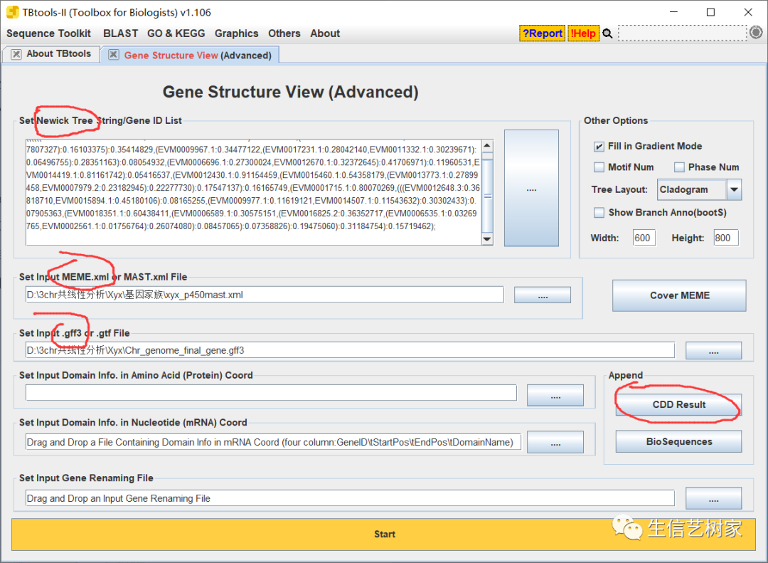 TBtools | 基因家族分析 (进化树、Motifs、结构域) - 知乎