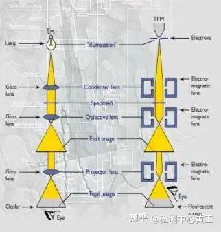 透射电镜(TEM)的原理及结构 - 知乎