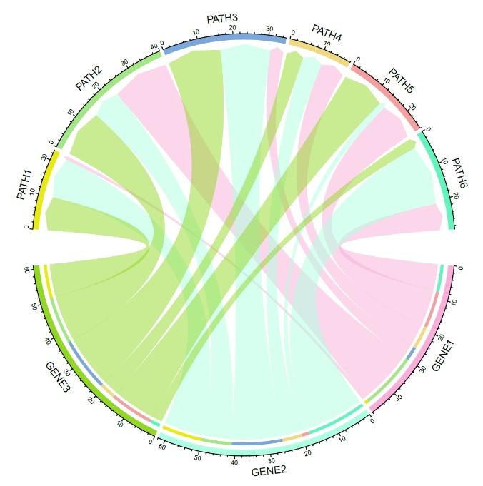 圈图绘制 - 知乎