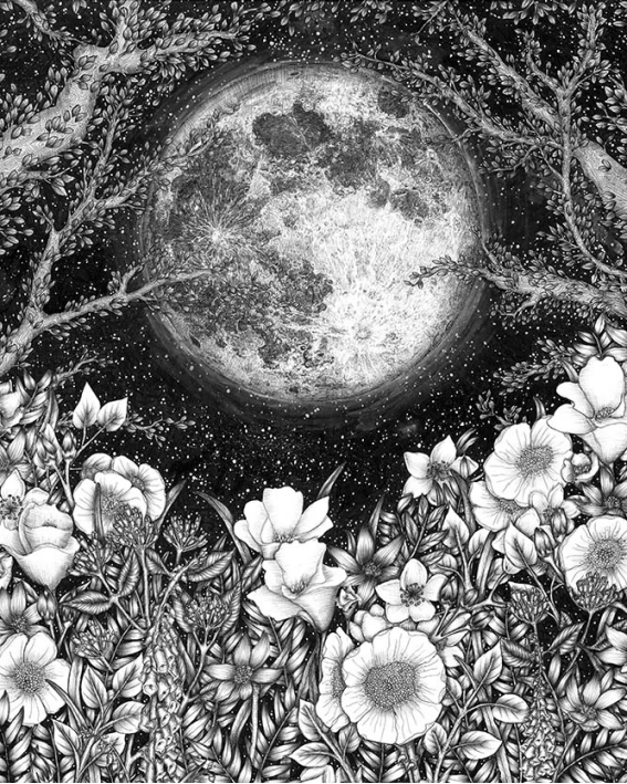 Elizabeth Mazur版权画起诉侵权，案件号：23-cv-13845 - 知乎