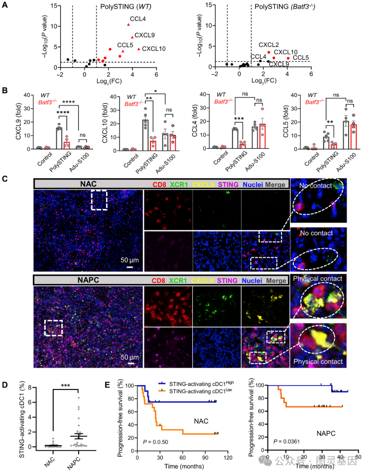 Sci Immu ｜ 德克萨斯大学高金明：激活输突细胞STING通路增强抗肿瘤免疫 - 知乎