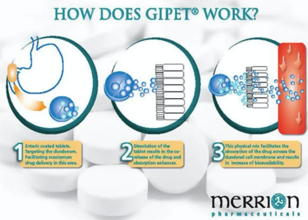 SNAC or Snack?口服GLP-1递送系统的麦加朝圣之路 - 知乎