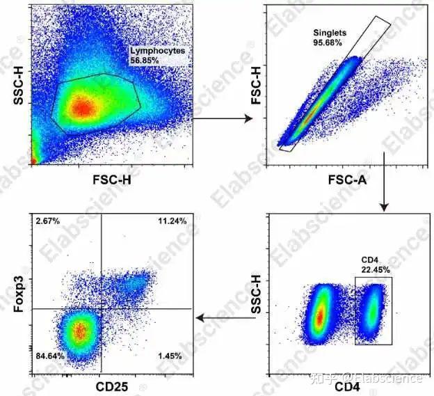 流式课堂 | 流式配色原则第一课：强弱搭配 - 知乎