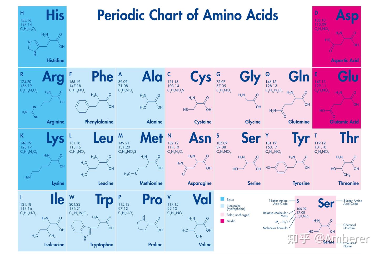 氨基酸周期表 - 知乎
