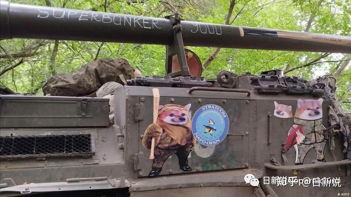 meme也是战争武器？网络模因如何参与和改变俄乌信息战 - 知乎