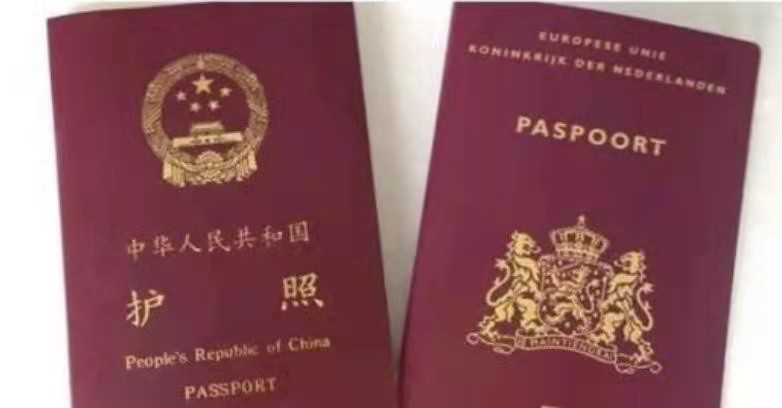 什么是WHV的秘密，让我们来带你研究！ - 知乎