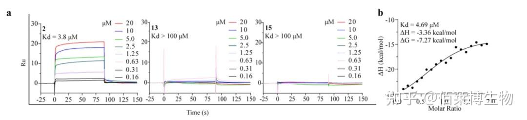 药物研究专题七：MST、SPR、ITC 技术在小分子与蛋白互作研究中的应用 - 知乎