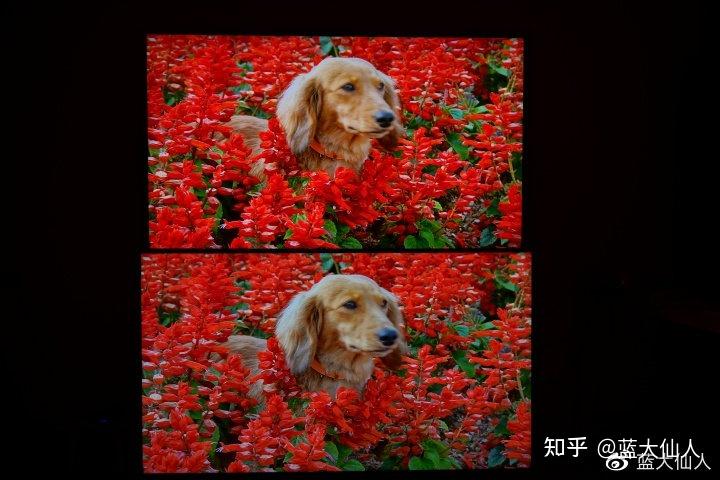 索尼X90J测评，相比9000H有哪些提升？ - 知乎