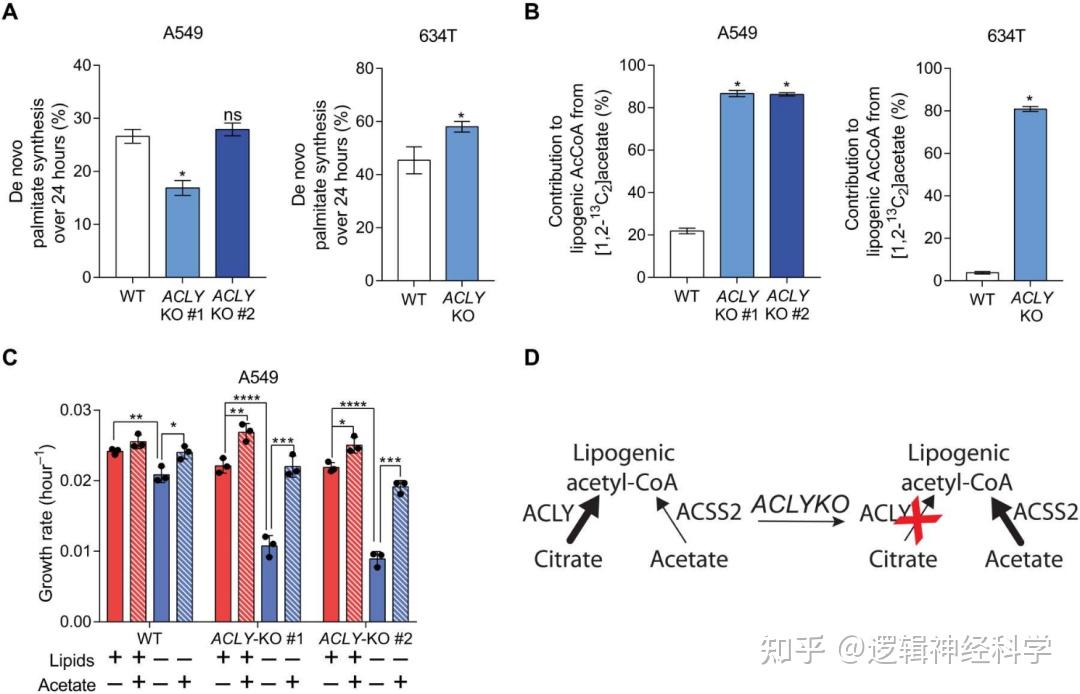 Sci Adv︱加州大学圣地亚哥分校团队发现代谢应激下细胞器间“crosstalk”能够维系乙酰辅酶A的稳态和脂质生成过程 - 知乎