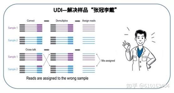 illumina测序接头类型
