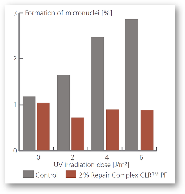 CosBeauty | 我不是“酵母”——二裂酵母 - 知乎