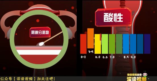 为什么会得阴道炎?揭秘阴道炎的发病机制,三分钟让你做明白女人 知乎