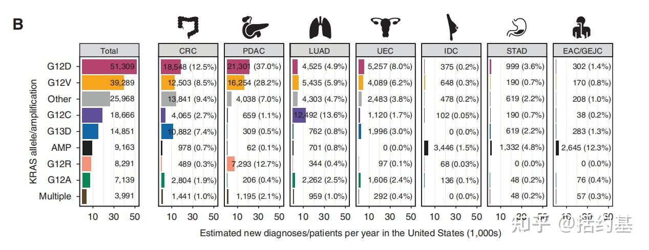 常见的致癌基因“KRAS” - 知乎