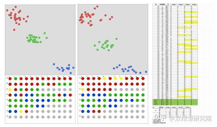 基因芯片BSA结合KASP单标记快速精细定位基因 - 知乎