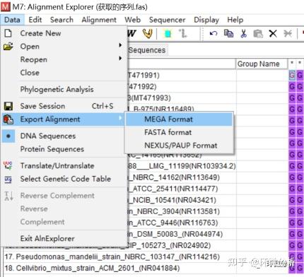 如何使用MEGA软件构建系统发育树_速成实用经验 - 知乎