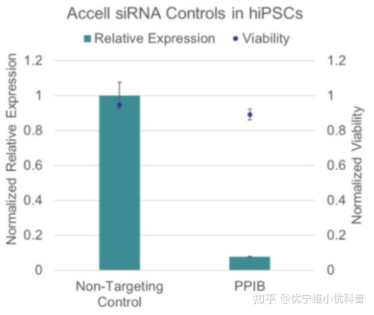 一招搞定T, NK, iPSC&3D spheroids RNAi - 知乎