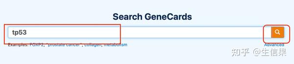 小果教你快速优雅使用Genecards数据库 - 知乎