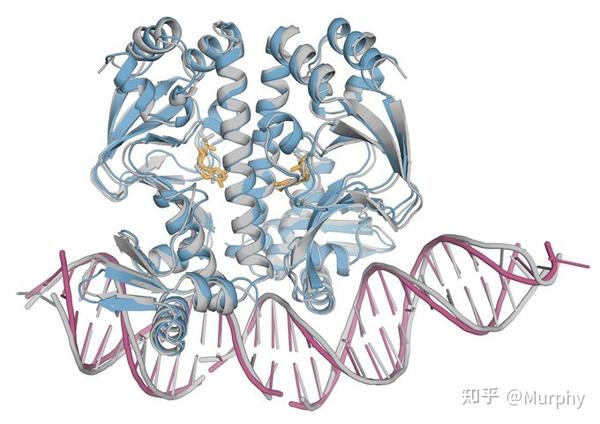 AlphaFold更新了！AlphaFold-latest - 知乎
