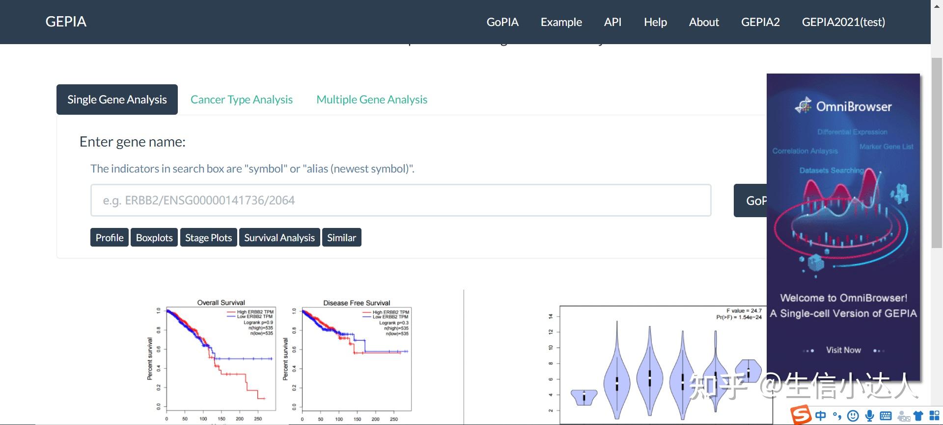 不会写生信代码也可以做生信分析——GEPIA数据库 - 知乎