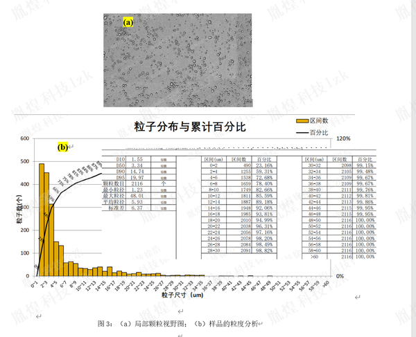 全自动显微镜法粒度(药典0982)分析仪用于透皮膏药粒度检测 - 知乎
