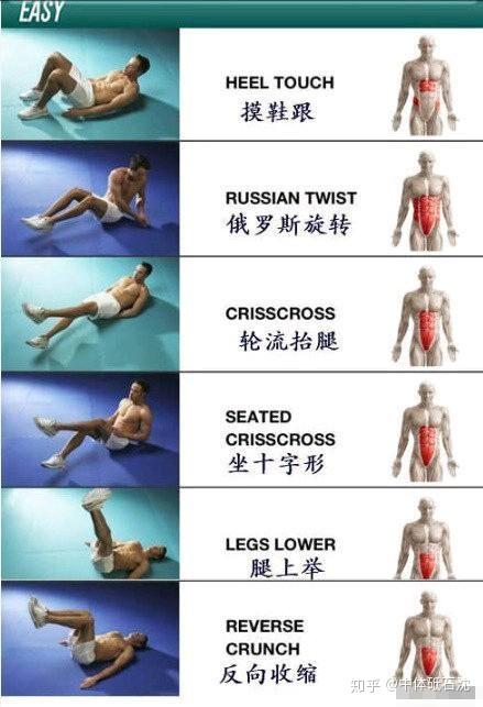 正常人练出腹肌需要多长时间 知乎