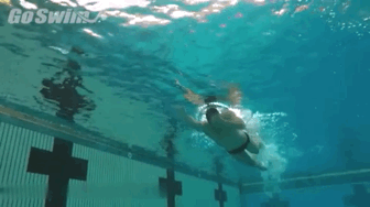 自由泳『高肘抱水』EVF练习 - 知乎