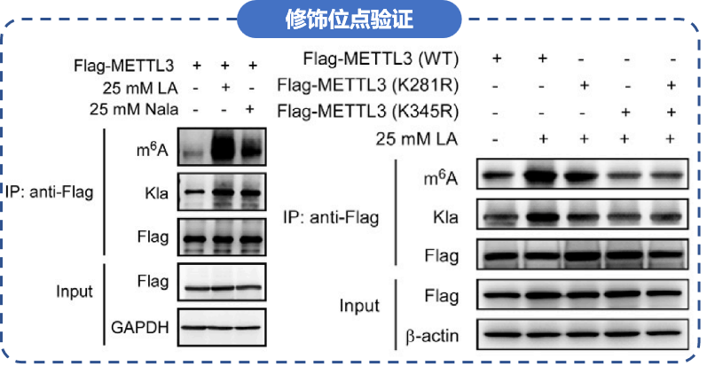 一站式IP打造|第一弹.IP全流程解析 - 知乎