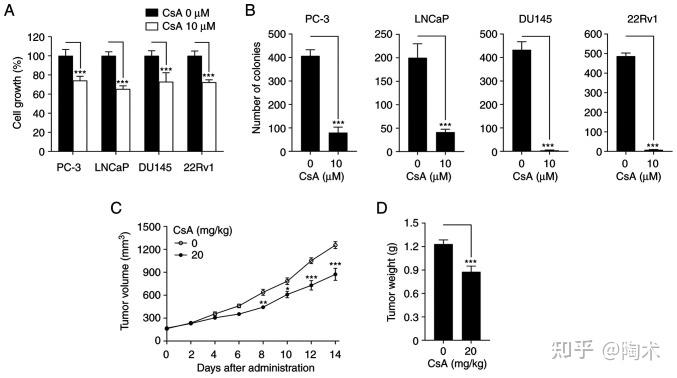 Cyclosporin A：天然小分子免疫抑制剂【TargetMol明星分子】 - 知乎
