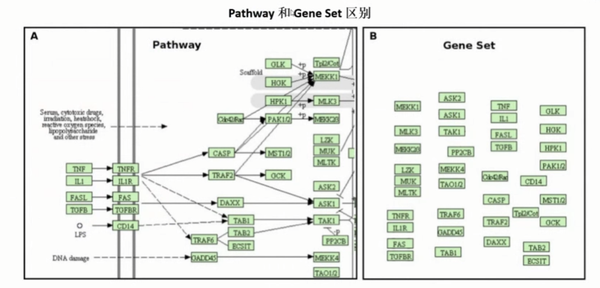 [单细胞|R]单细胞之富集分析 - 知乎