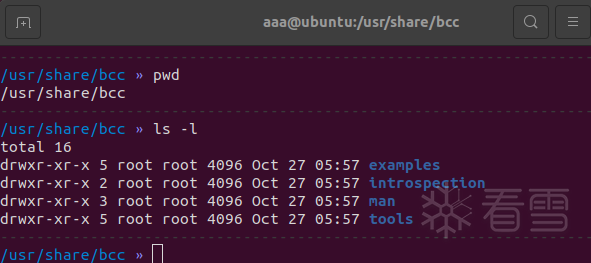 60秒学会用eBPF-BCC hook系统调用 - 知乎