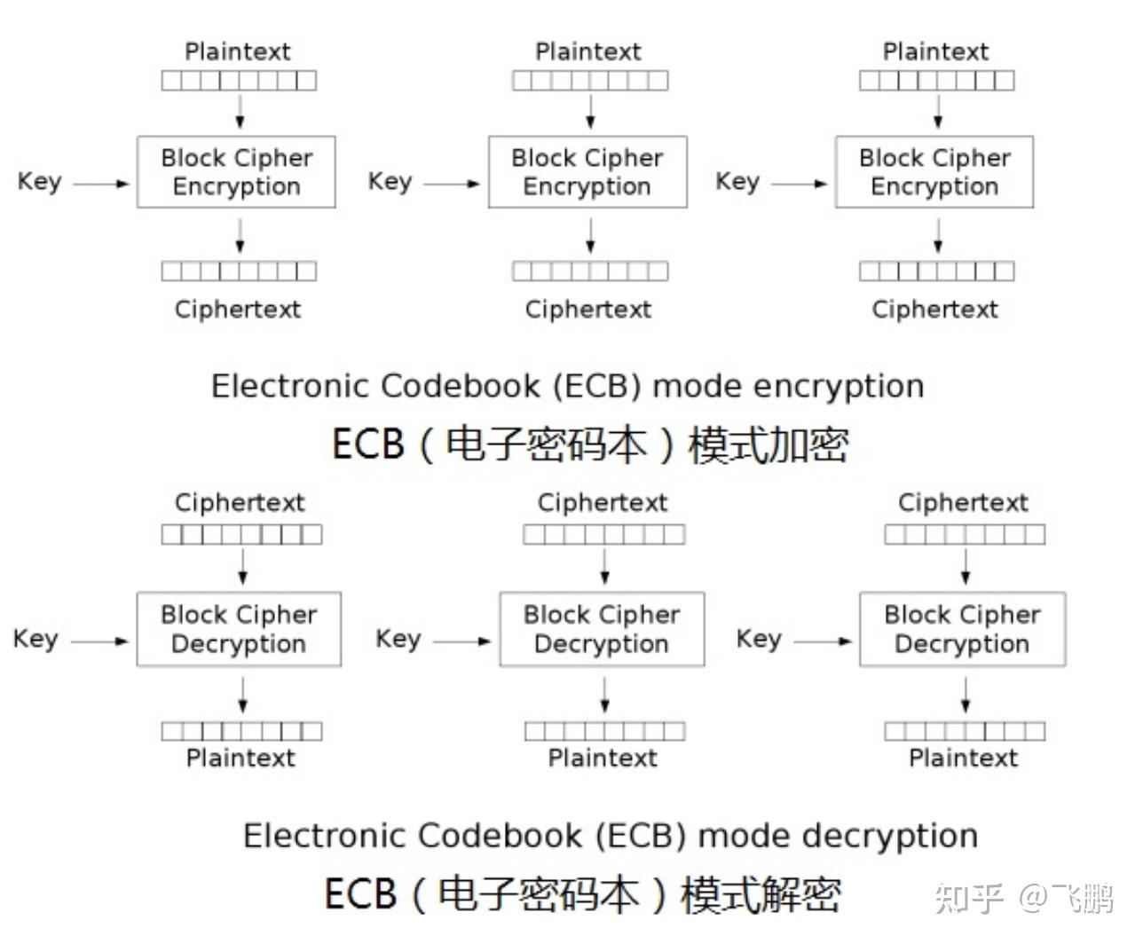 Crypto++ 入门 AES - 知乎