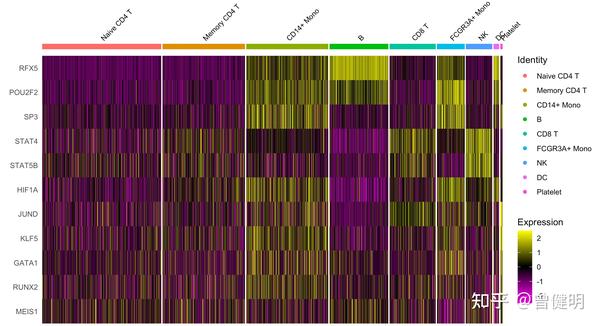 各个单细胞亚群特异性的转录因子热图 - 知乎
