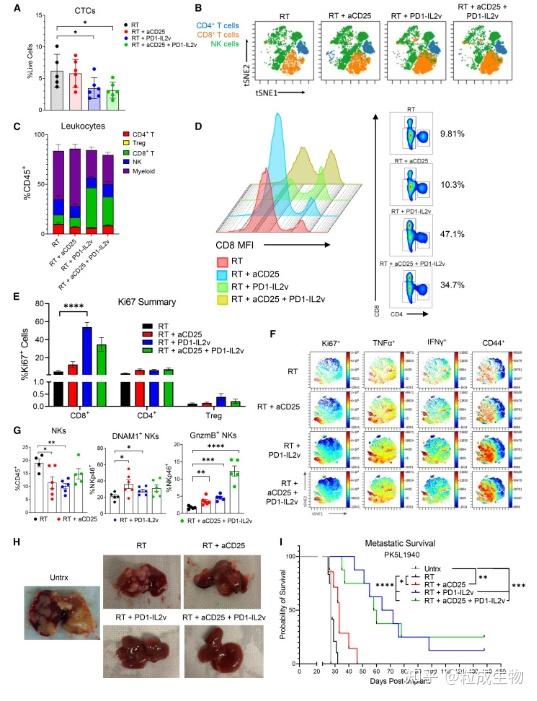 Cancer Cell|双特异性免疫细胞因子治疗同时放疗抑制胰腺癌的生长和转移 - 知乎