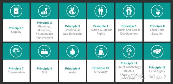 RSB认证是什么？RSB标准是什么？哪家机构可以进行认证？ - 知乎