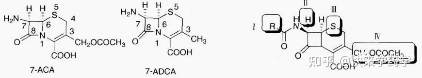 【药化高频考点 40】头孢菌素类药物的结构、理化性质、结构改造的思路及方法 - 知乎