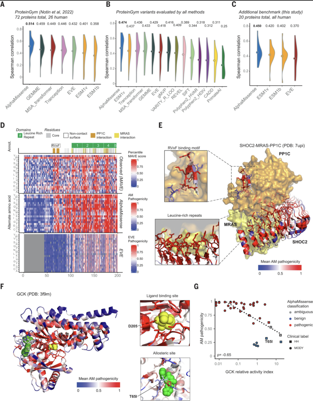 Science｜使用AlphaMissense准确预测全蛋白质组错义突变效应 - 知乎