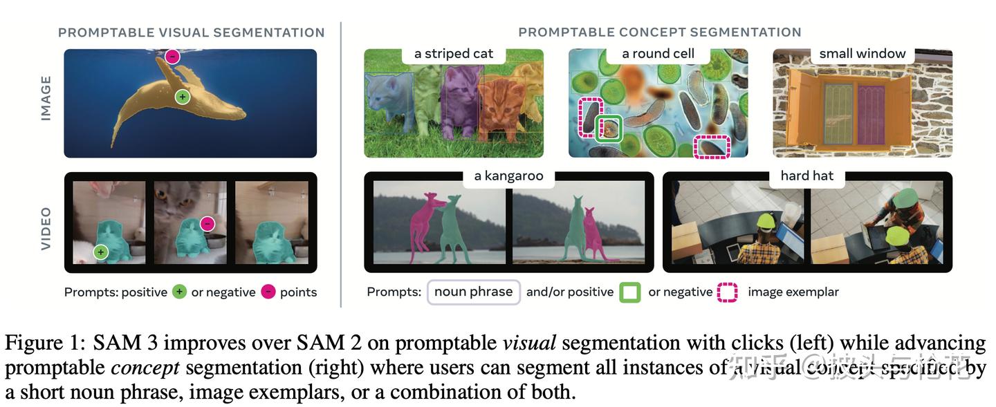 SAM 3 深度解读：从“万物可点”到“万物可概念分割”的飞跃 - 知乎
