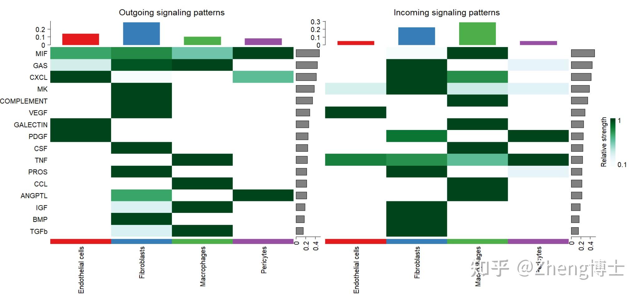 细胞通讯分析（单细胞测序）———CellChat（Homo、Mus） - 知乎