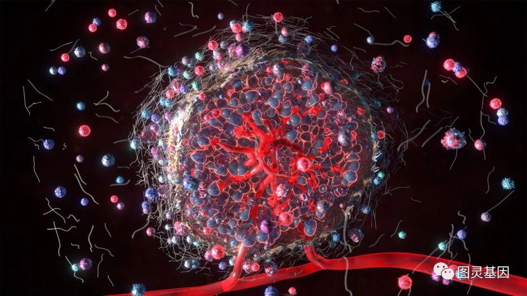 JEM | 溶瘤病毒"预热"冷肿瘤，助力免疫治疗 - 知乎
