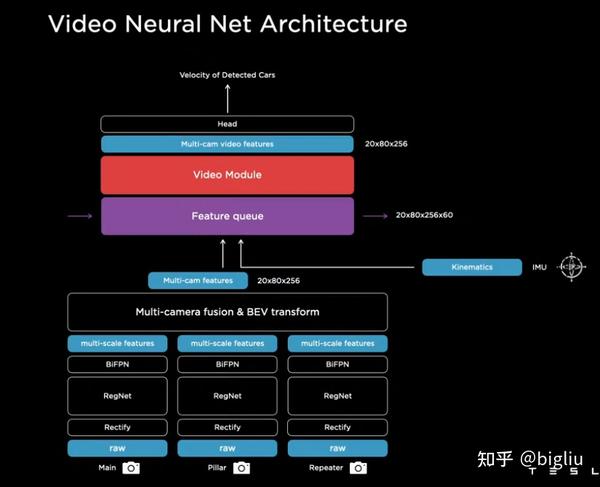 Tesla BEV Network - 知乎
