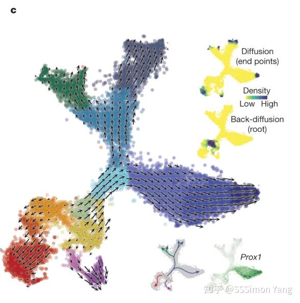 2020-011 RNA velocity of single cells - 知乎