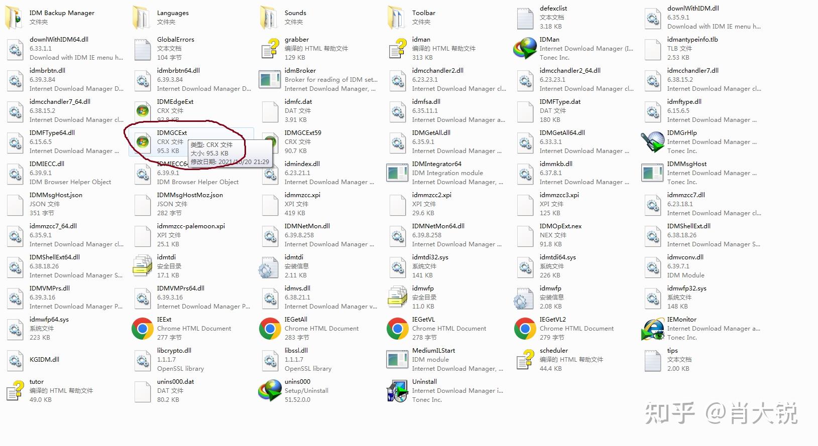 保姆级IDM安装教程 - 知乎
