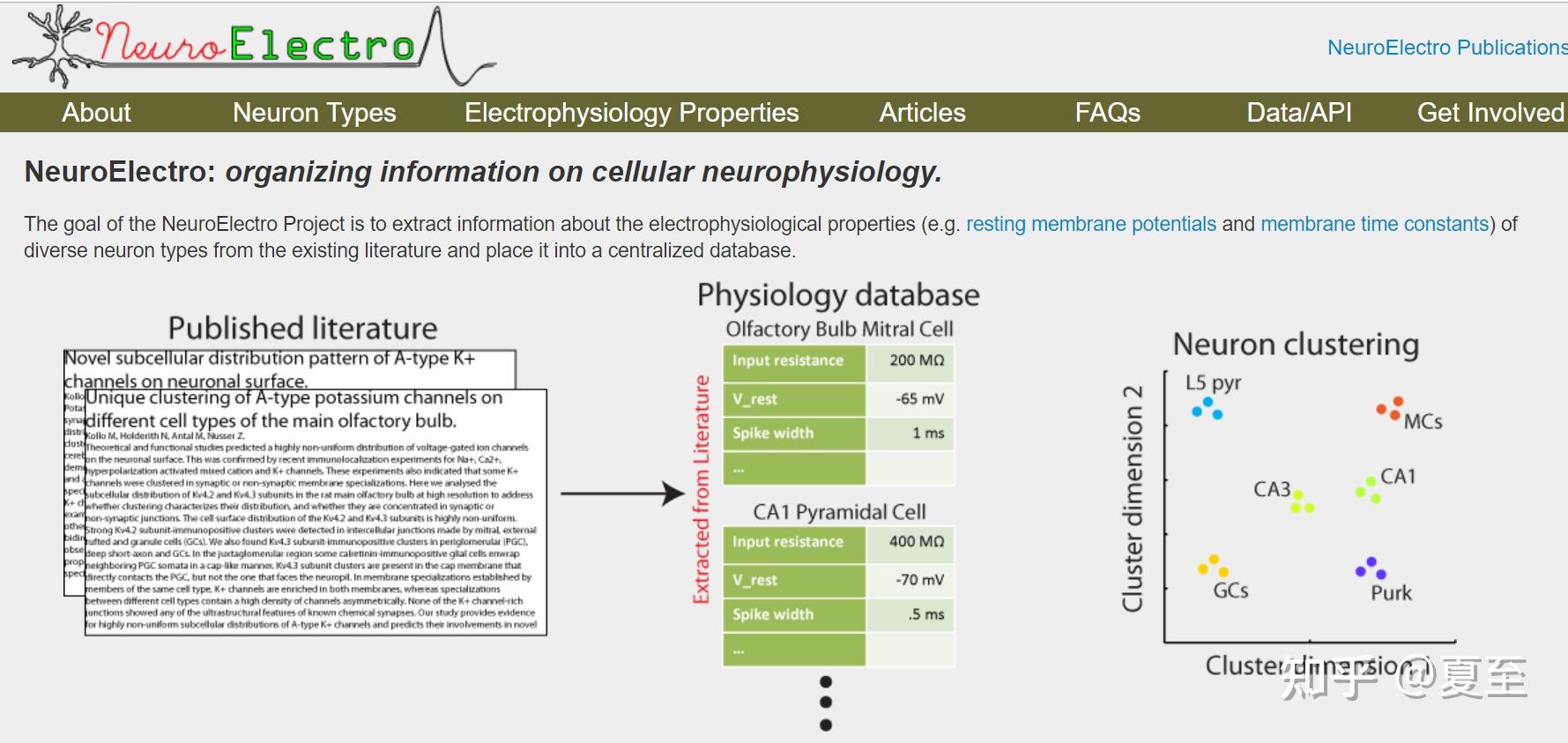 Neuroscience 神经科学相关数据集 - 知乎